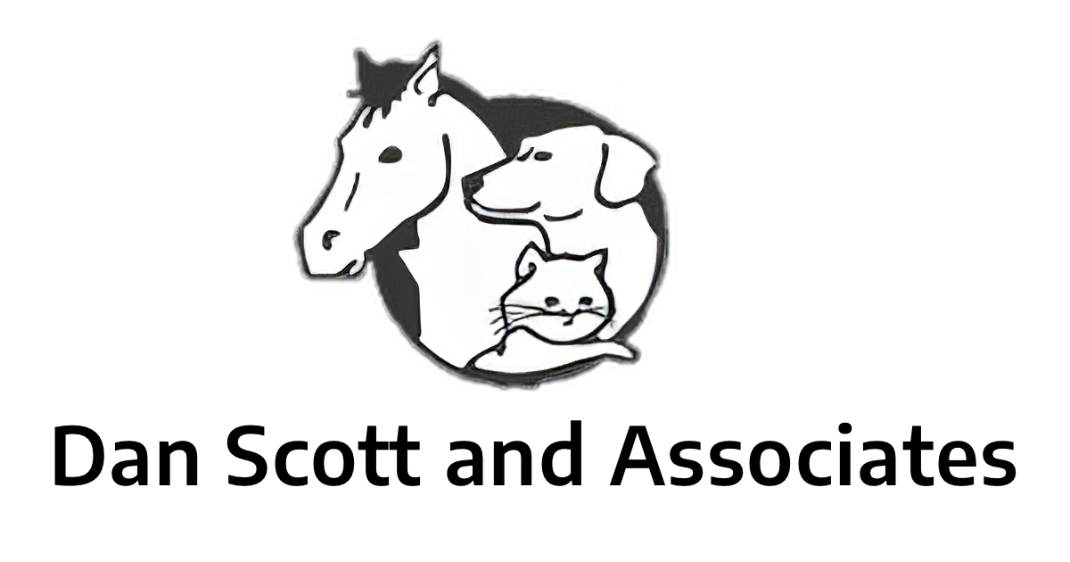 Home - Dan Scott and Associates